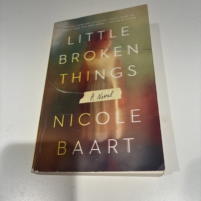 Little Broken Things : A Novel by Nicole Baart (2017, Trade Paperback ...