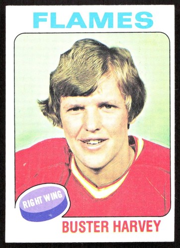 1975-76 8391A Topps Buster Harvey Atlanta Flames #298 | eBay