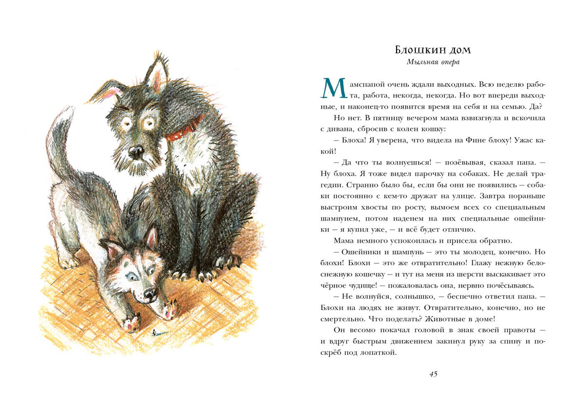 Illustrated Russian Books for kids. Книга для детей - Переводчик с ...