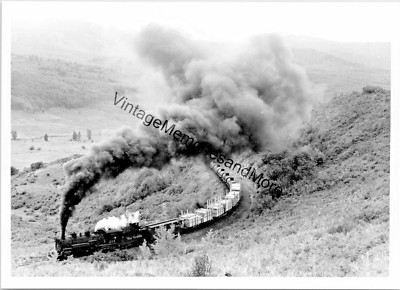 VTG Rio-Grande Railroad 491 Steam Locomotive T3-106 | eBay