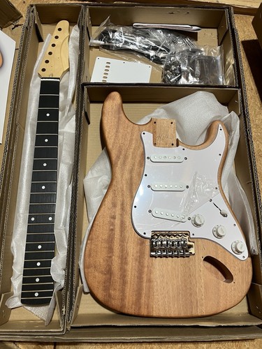 Stratocaster DIY Electric guitar Kit With All Parts | eBay