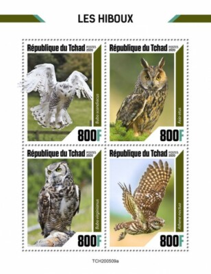 2020/11- CHAD- OWLS 4V complet set MNH ** T | eBay