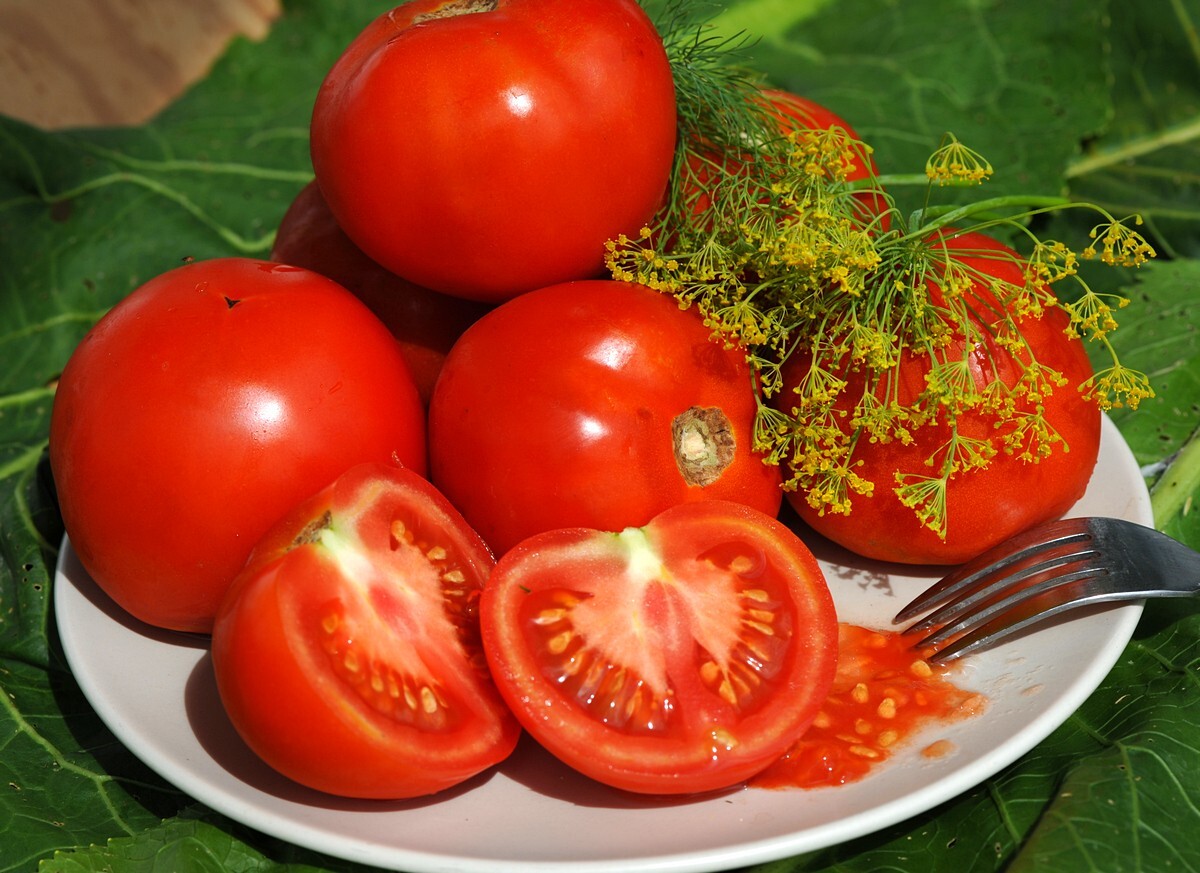 30 SIBERIAN EARLY TOMATO Seeds | eBay