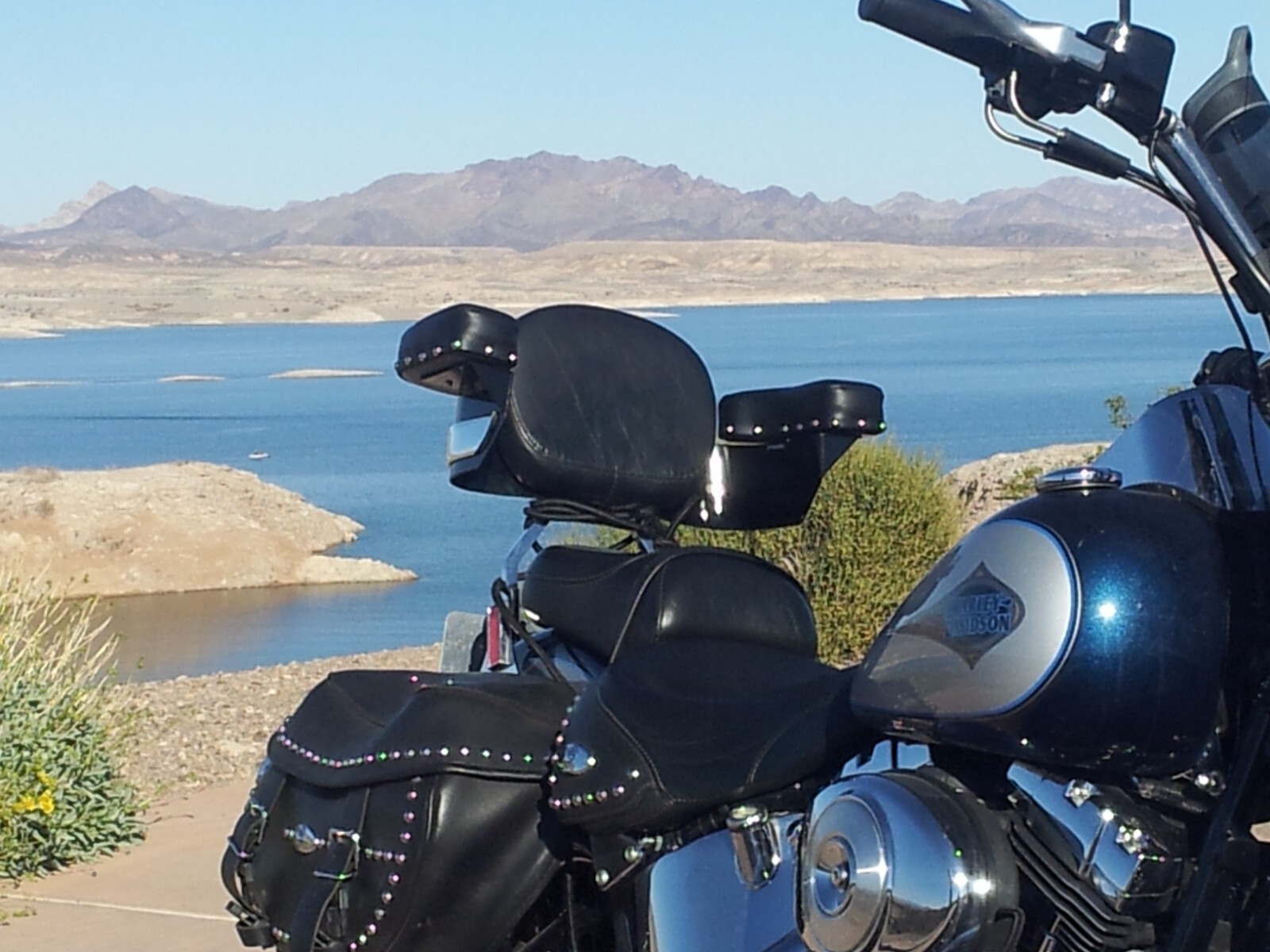 MOTORCYCLE PASSENGER REAR SEAT ARMREST/ W STUDS/W CUPHOLDER - Standard ...