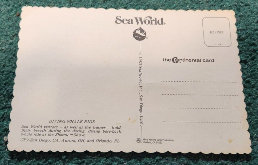 1983 DIVING WHALE RIDE Shamu Show Sea World GP-9 Postcard Bareback ...