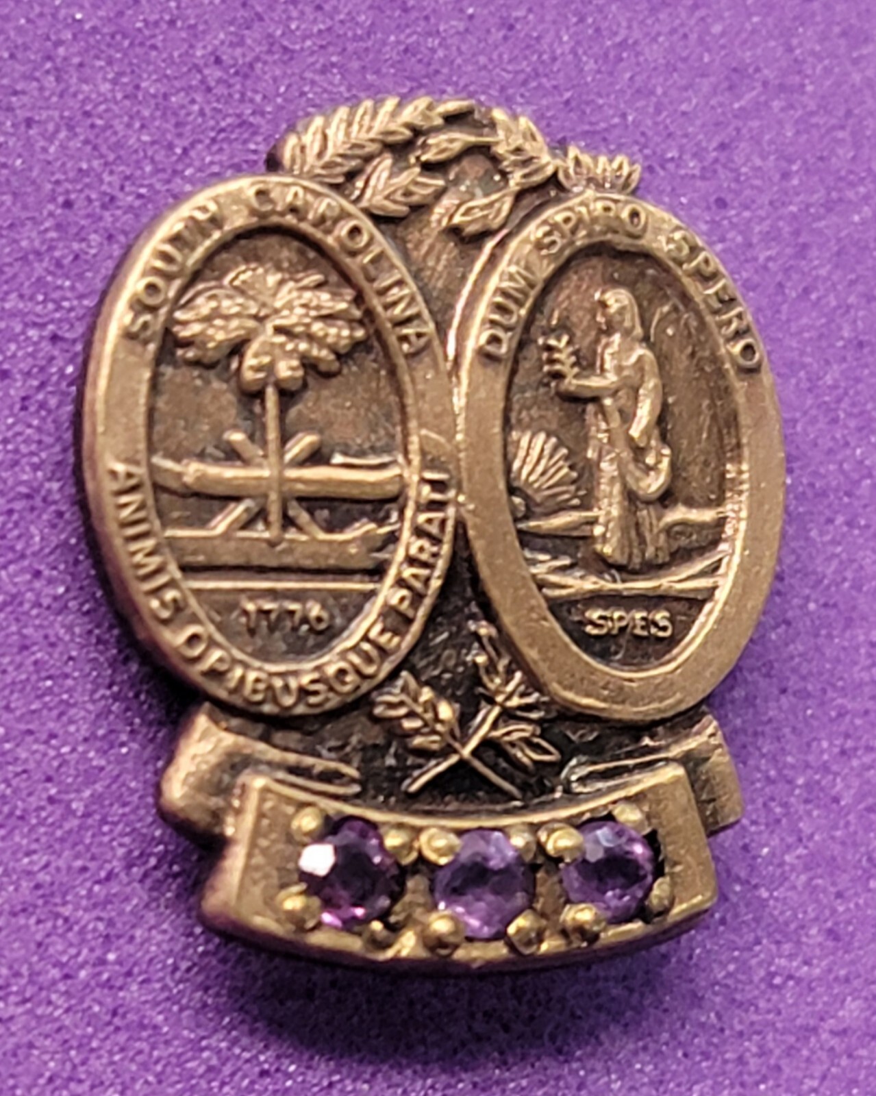 Vintage State of South Carolina Employee Service Pin Purple Stones | eBay