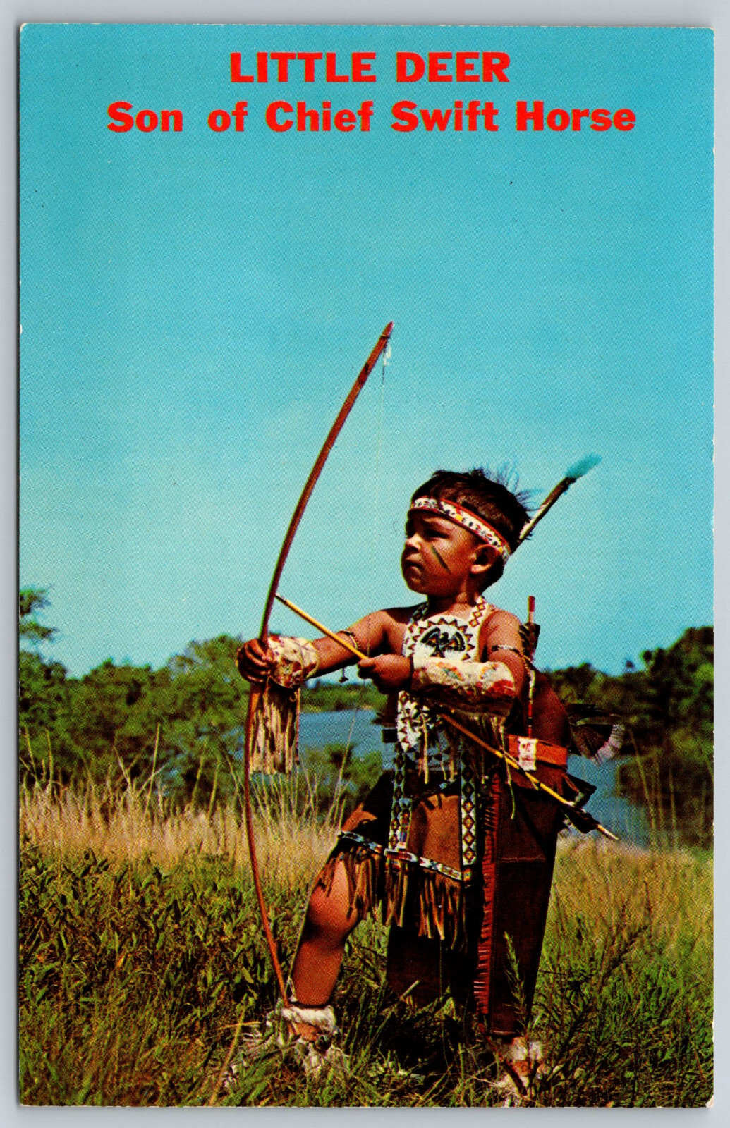 Postcard Little Deer Son of Chief Swift Horse Corn Palace Mitchell, SD ...