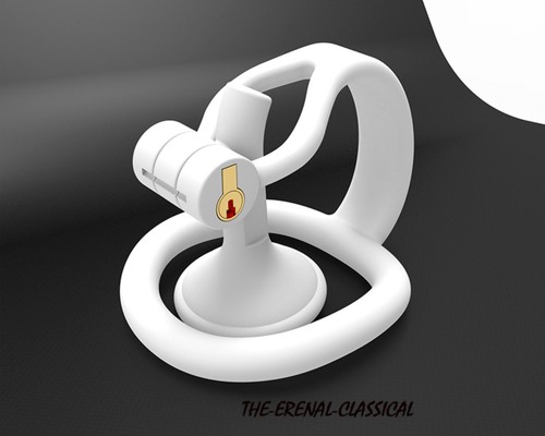 2026 New Reverse-Style Chastity Cage Male Lock Restraint Rings Chastity ...