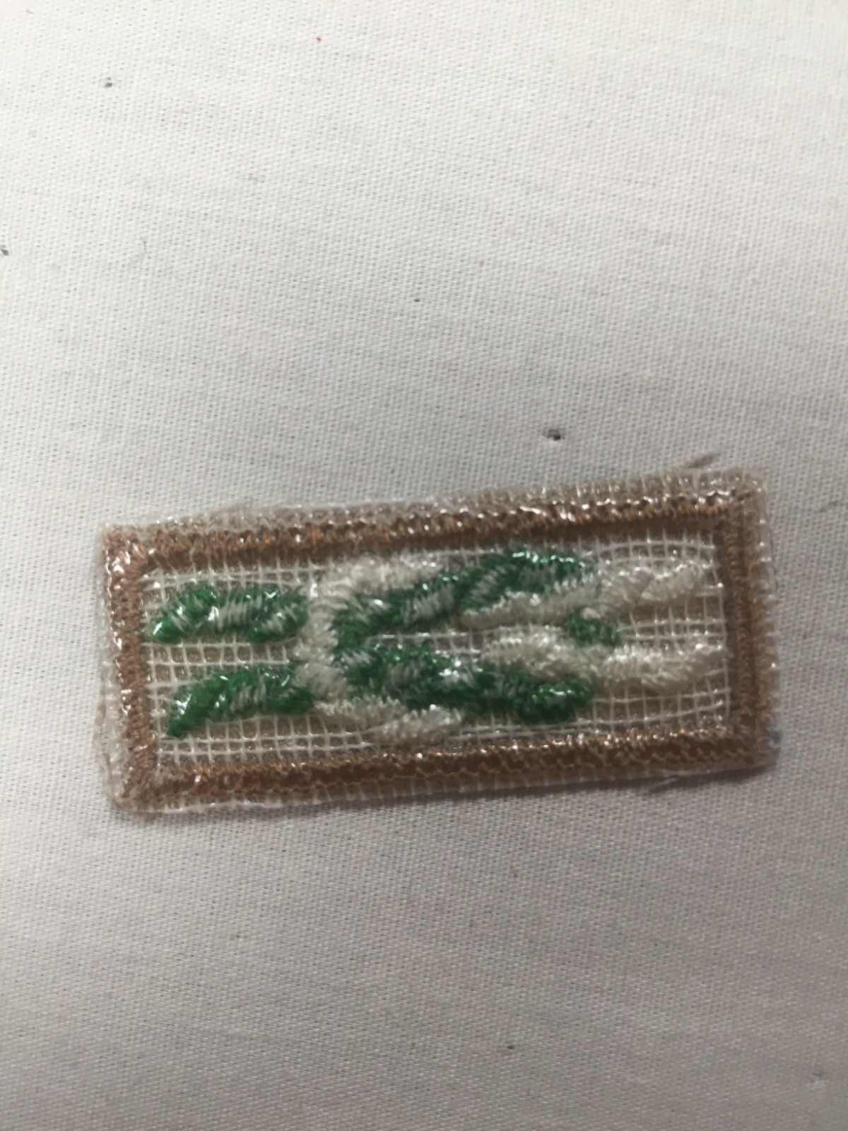 Scouter's Key Award Gauze plastic back BSA Knot Patch | eBay