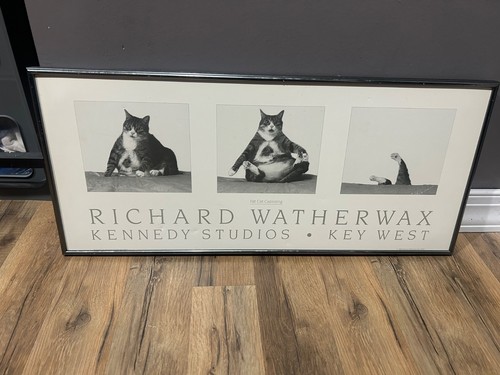 Richard Weatherwax Fat Cat Capsizing | eBay