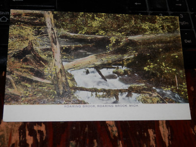 ROARING BROOK MI - 2 OLD POSTCARDS EMMET COUNTY ALANSON - BOYNE CITY ...