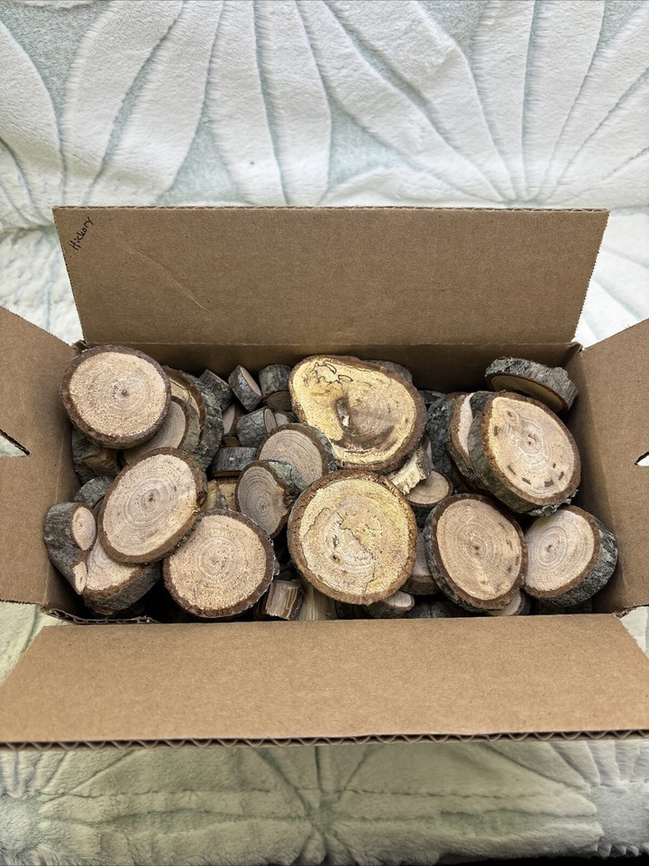Hickory Wood Chunks Disks for BBQ/Grilling/Wood Smoking Crafts 3 LBs 48 ...