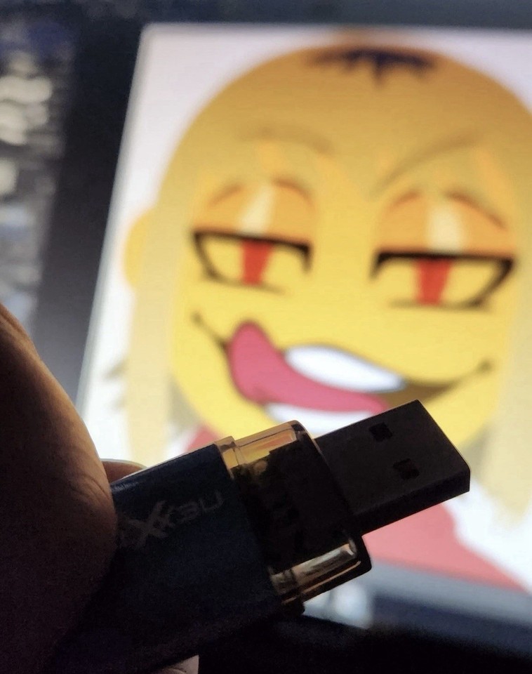 Nicolette Shea private film archive 60 Gb USB Drive Adult-Themed Classic Collect | eBay UK