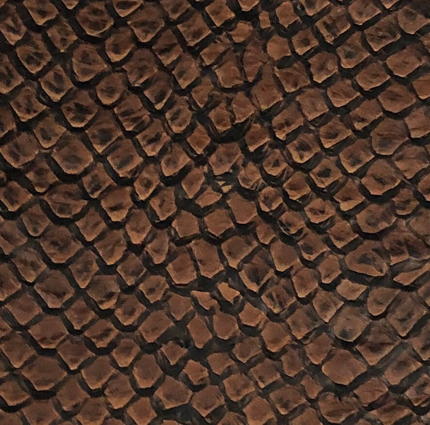 Pirarucu skin, Arapaima skin large wild (INVERTED SCALES) 12 colors | eBay