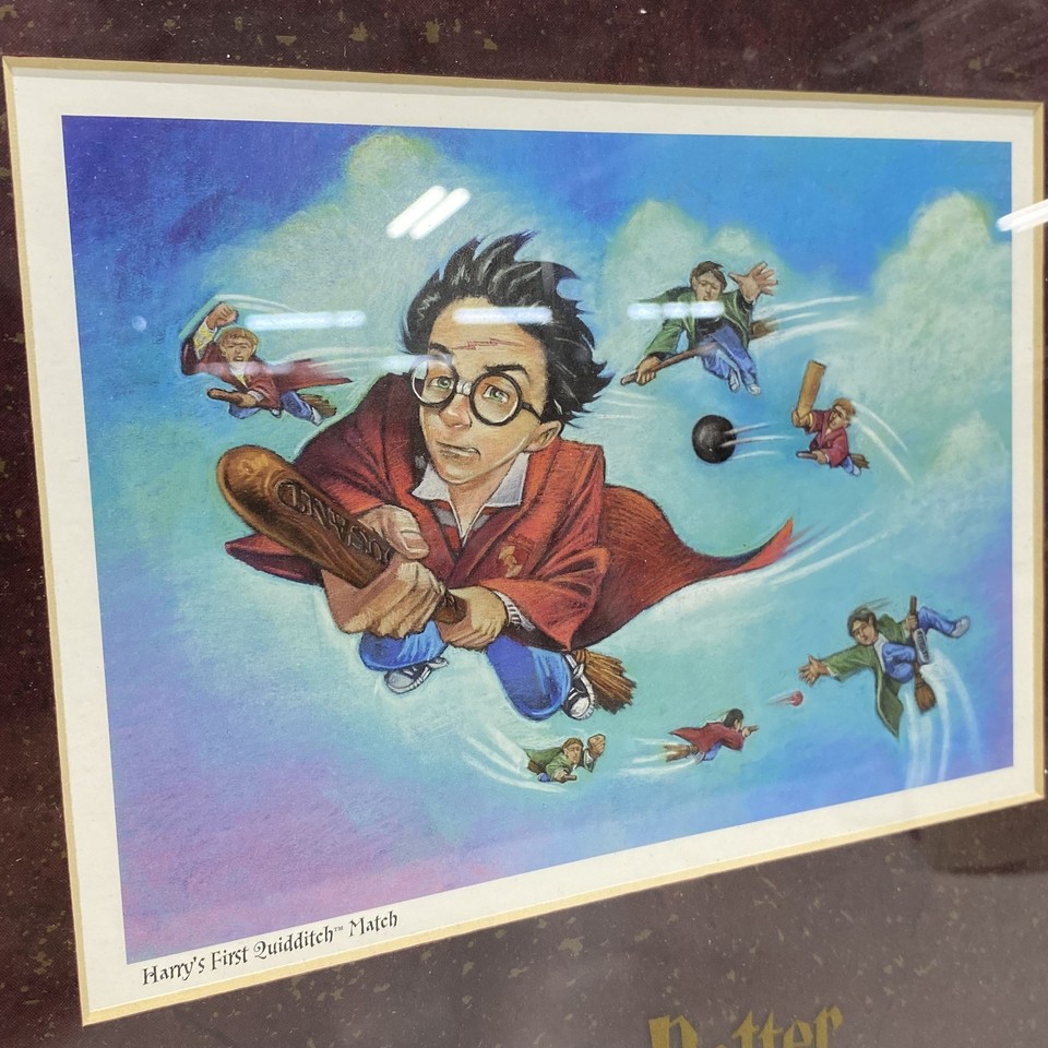 Harry Potter's First Quidditch Match Print by Warner Bros 2000 | eBay
