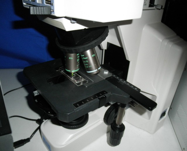 Nikon Eclipse E600 Fluorescence Phase Contrast Microscope 18mp for sale online | eBay