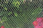 White Nylon Netting Nylon Fishing Net Mesh Anti Bird Netting Garden ...