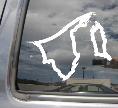 Brunei Country Outline Car Truck Bumper Window Vinyl Decal Sticker ...
