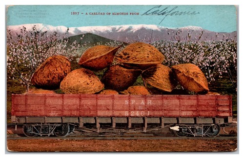 A Carload Of Almonds From "California" | eBay