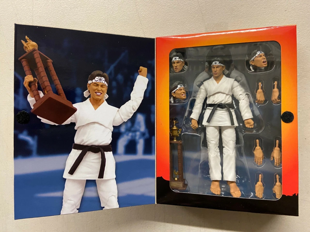 Karate Kid Daniel San