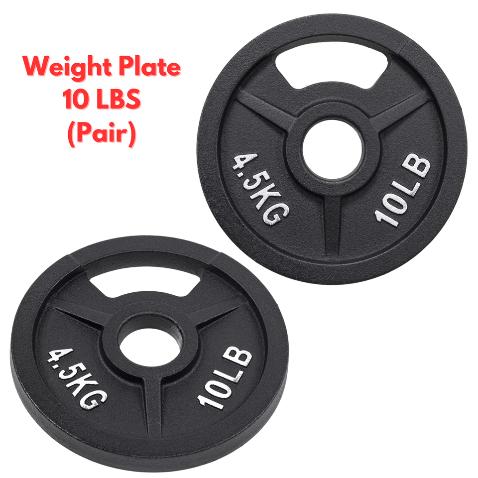 Cast Iron Olympic 2-inch Weight Plates Set Gym Workout 2.5LB/5LB/10LB ...
