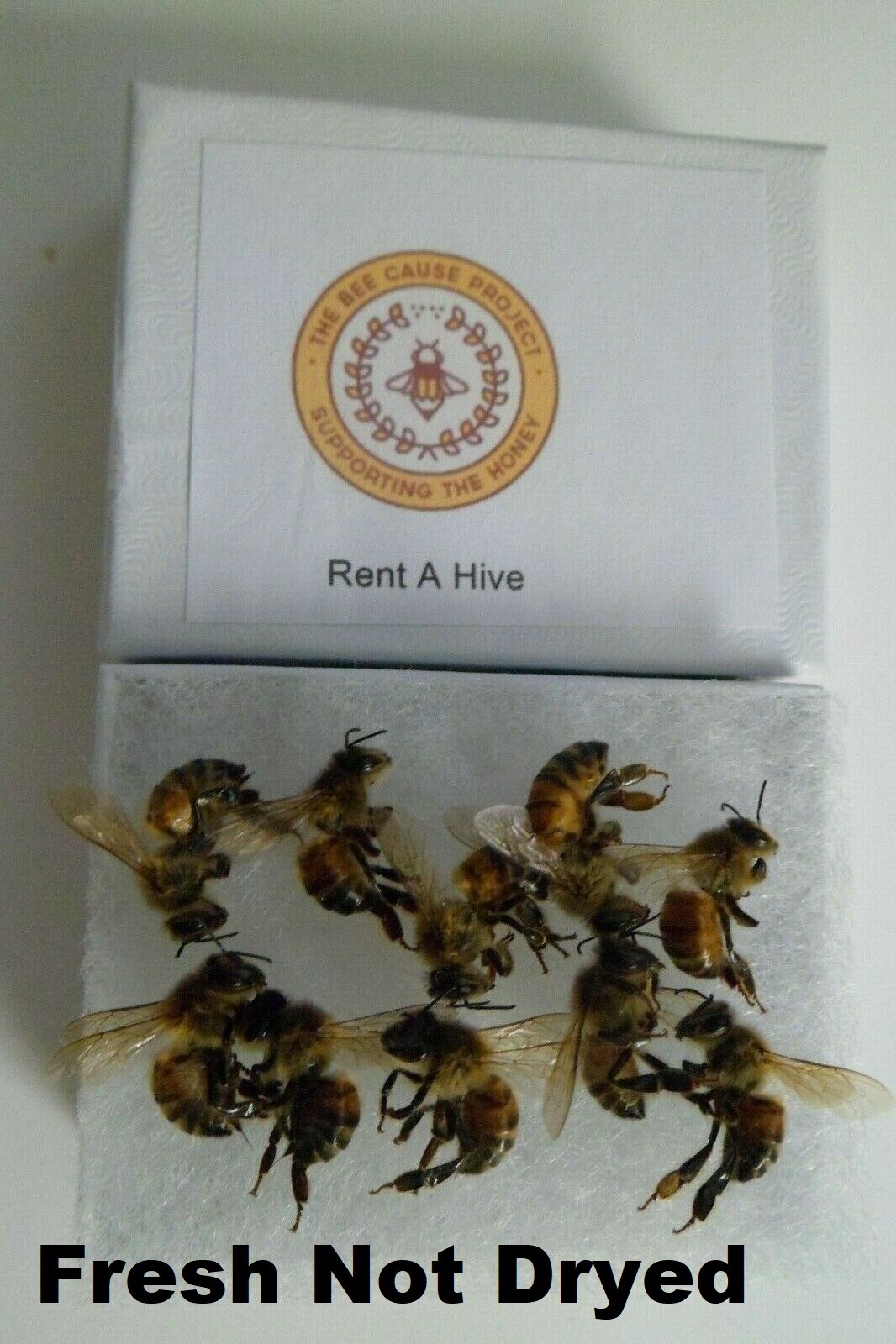 FRESH 24 REAL Honey Bees Fresh No knead to Rehydrated to be pinned Very ...
