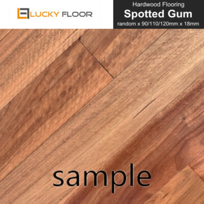 18mm AUS Spotted Gum Sample Hardwood Flooring Solid Timber Floors Floor ...