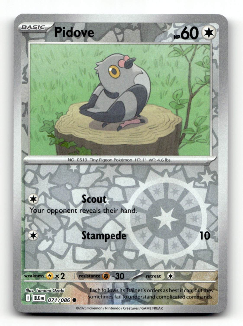 Reverse Holo - Pidove Pokemon • Common • 071/086 Black Bolt | eBay