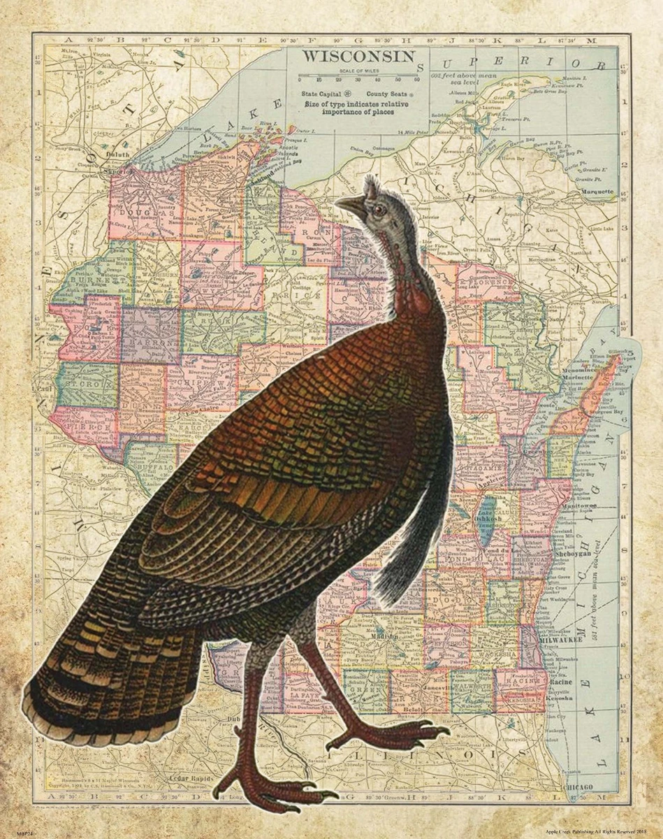 Turkey Hunting Drawings