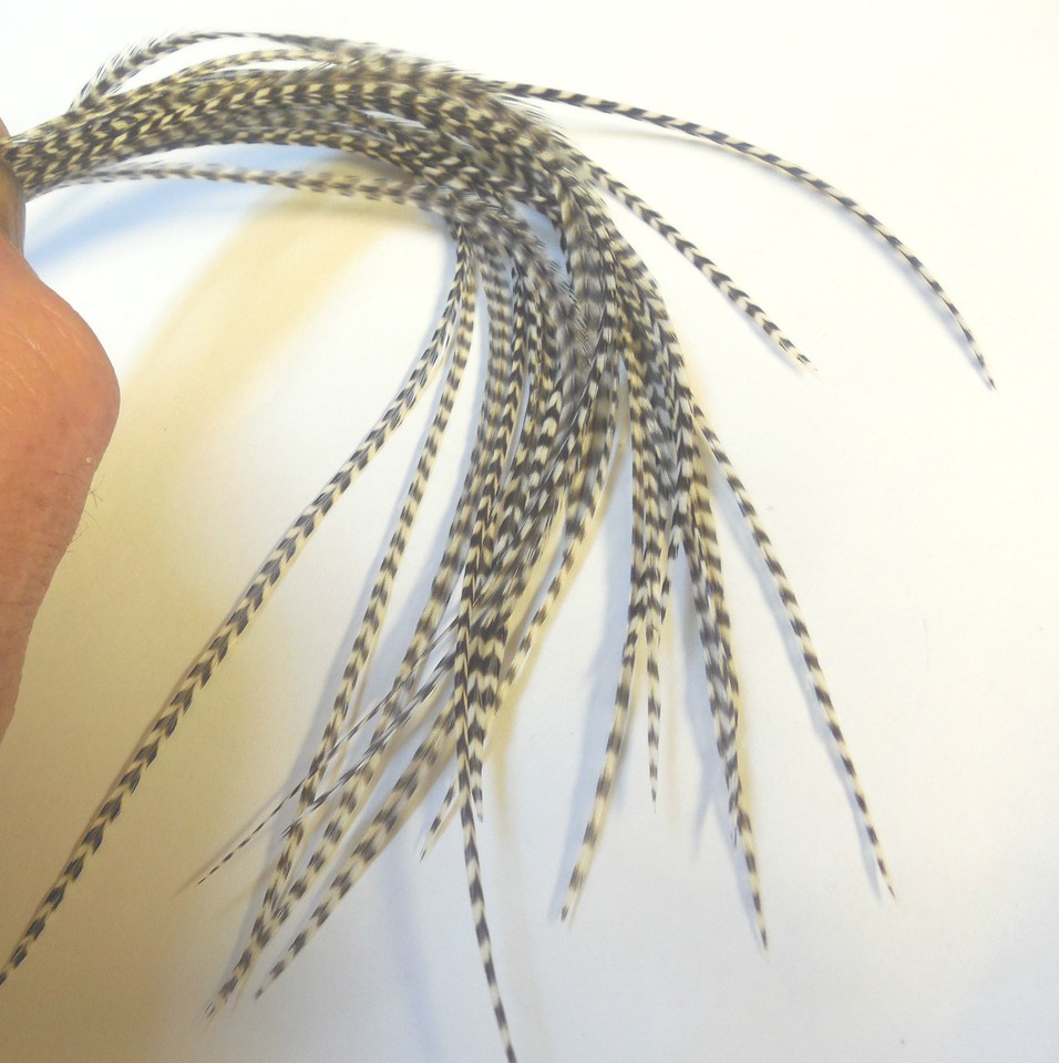 50 6-9" Whiting Grizzly Rooster Saddle Hackle Feathers Hair Extensions ...