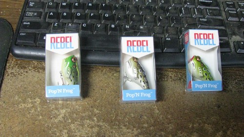 Rebel topwater, Pop n frog", 3 ct, 3 colors, free shipping | eBay