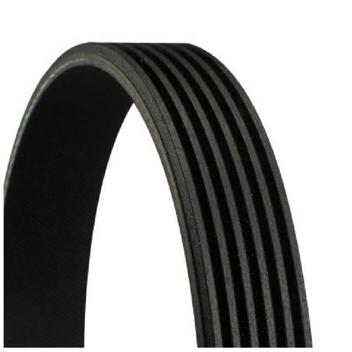 Continental Ctam Keilrippenriemen 6PK2080 11288477779 11287786075 ...