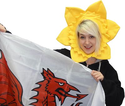 Daffodil hat wales Cymru Yellow rugby Cymraeg St davids day welsh ...
