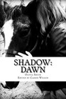Shadow: Dawn: Volume 2 (Shadow Series) New 9781501092794 Fast Free ...
