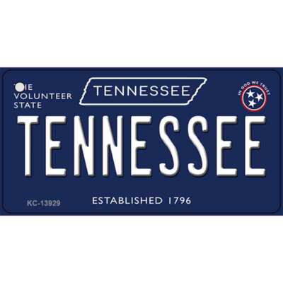 TN Tennessee Blue Novelty Metal Key Chain | eBay