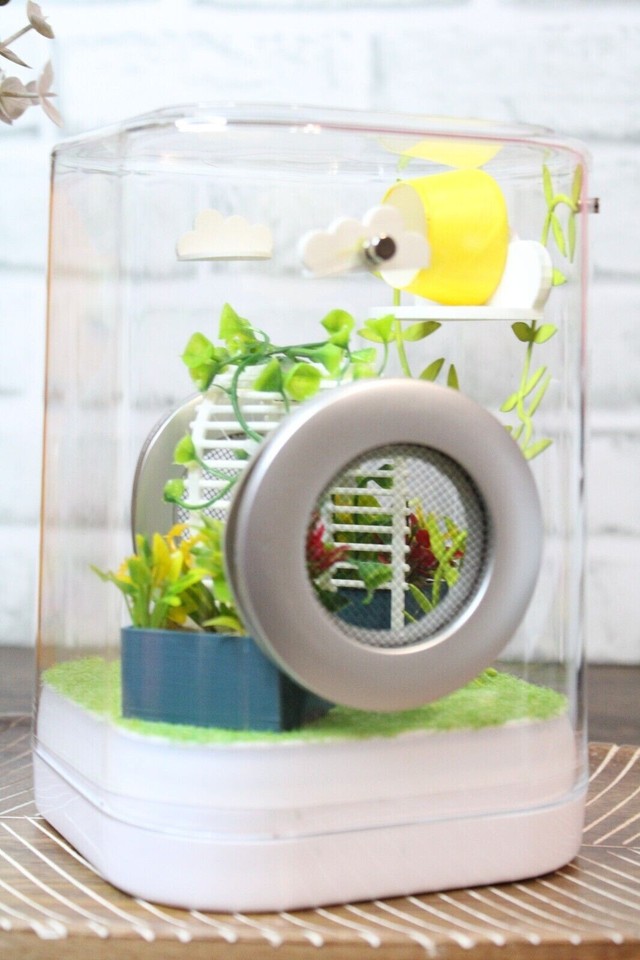 Jumping Spider Enclosure, Insect Terrarium, Bug Enclosure, Spider Cage ...