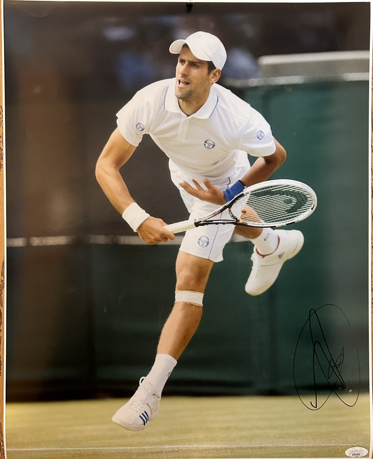 Novak Djokovic Autographed Memorabilia | Signed Photo, Jersey ...
