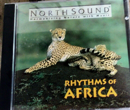 North Sound Harmonizing Nature with Music Rhythms of Africa | eBay