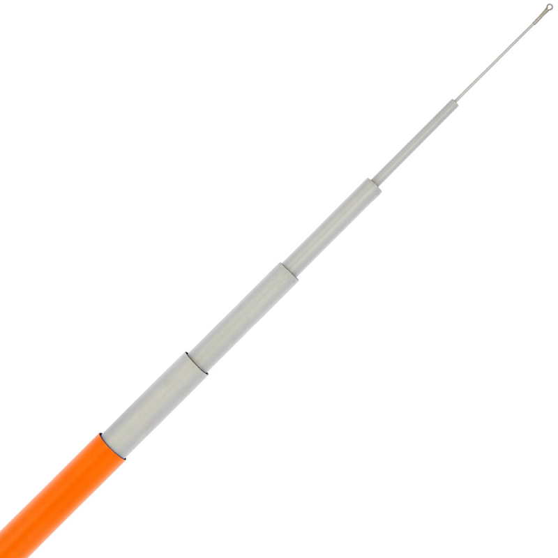 NGT 6m Float Fishing Whip Pole Coarse Carp Match Float Fishing ...
