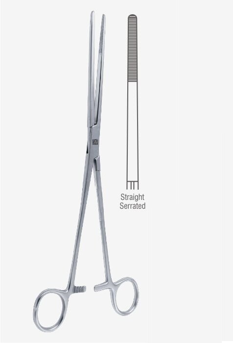 BOZEMAN Sponge Forceps, 10.5", Straight, Serrated Jaws, Premium ...