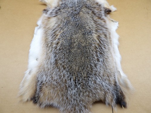 Tanned Badger Hide in rug form /Fur/Taxidermy/Pelts/hides | eBay