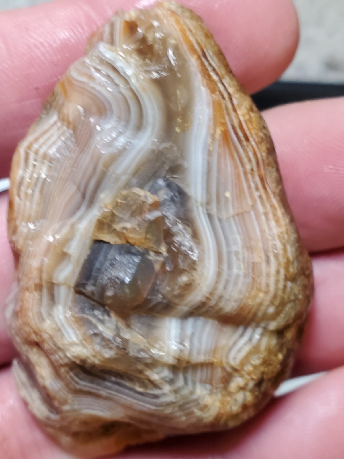 2 Lake Superior Banded Fortification Agate Lapidary 156g Minnesota ...