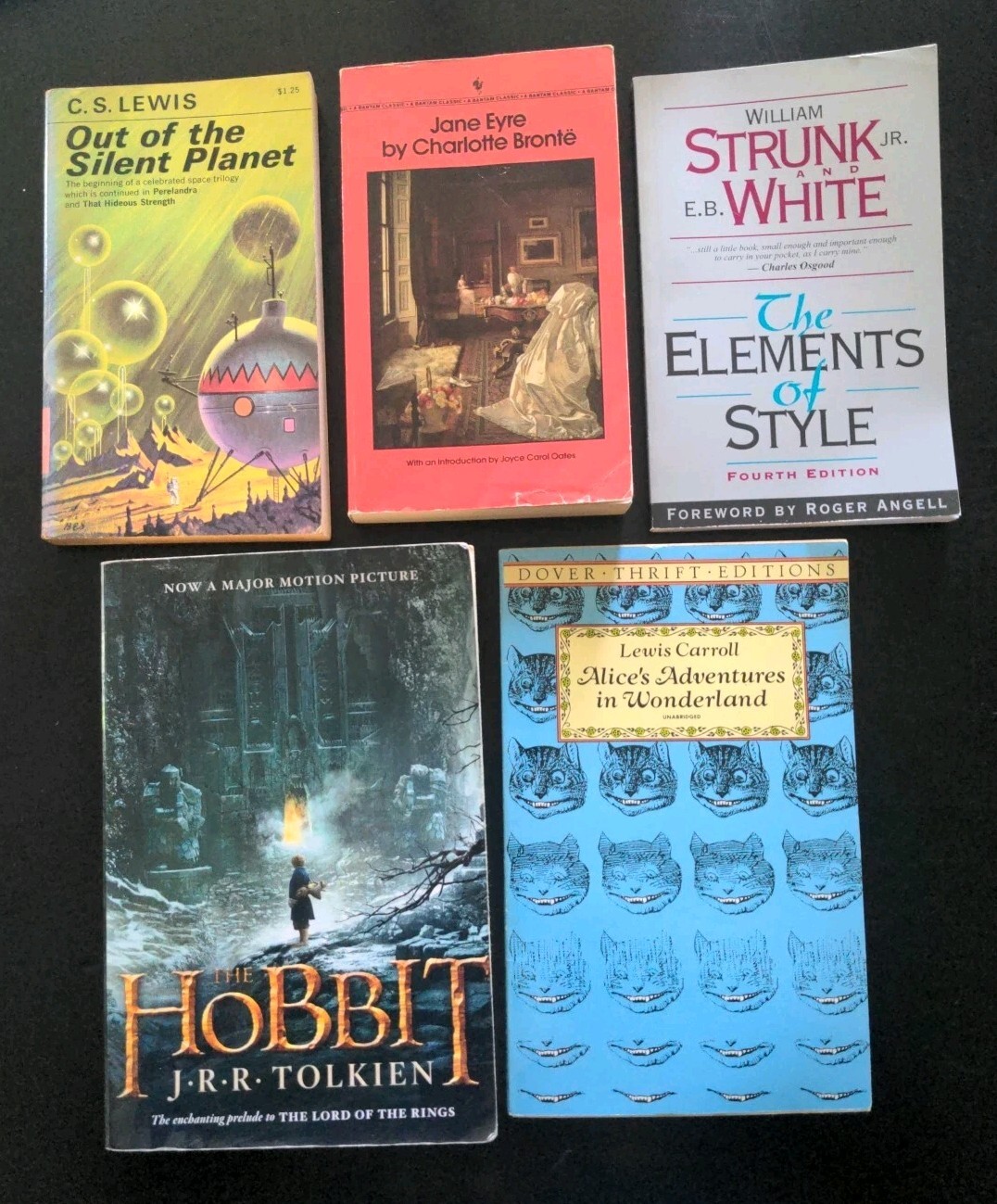 Lot of 5 Classical Conversations Challenge II- Carroll, Bronte, Tolkien ...