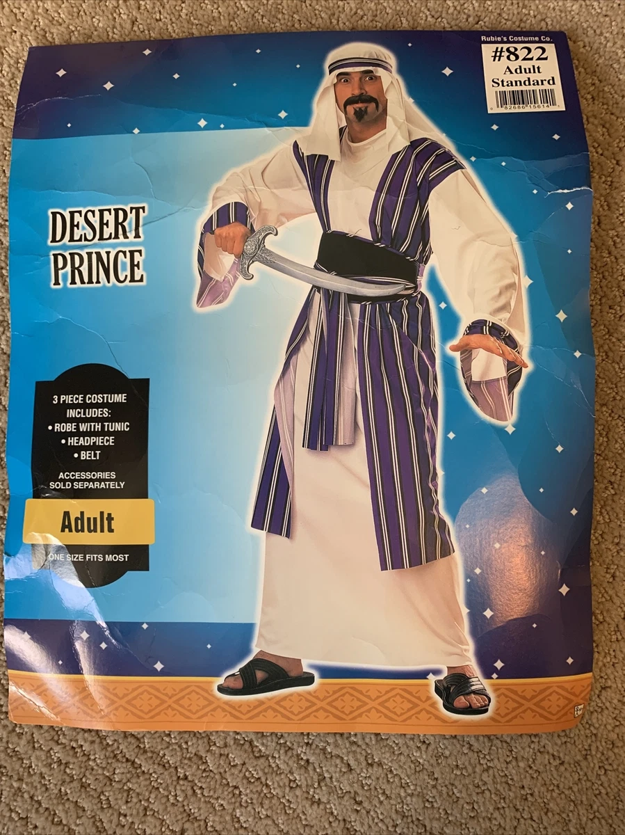 Aladdin Prince Costume