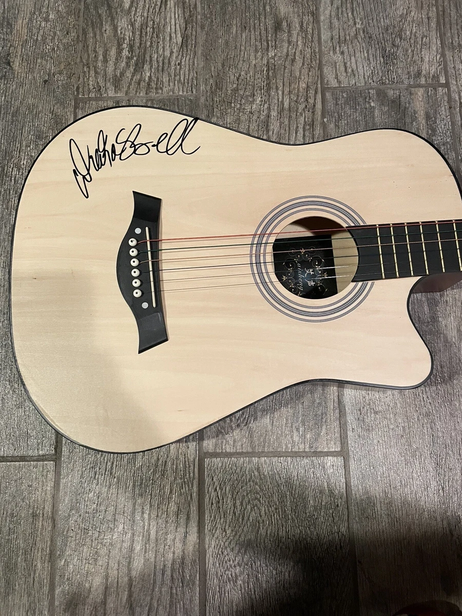 Drake Bell Drake And Josh Guitar