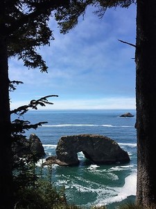 Bert's Signs N Stuff | eBay Stores