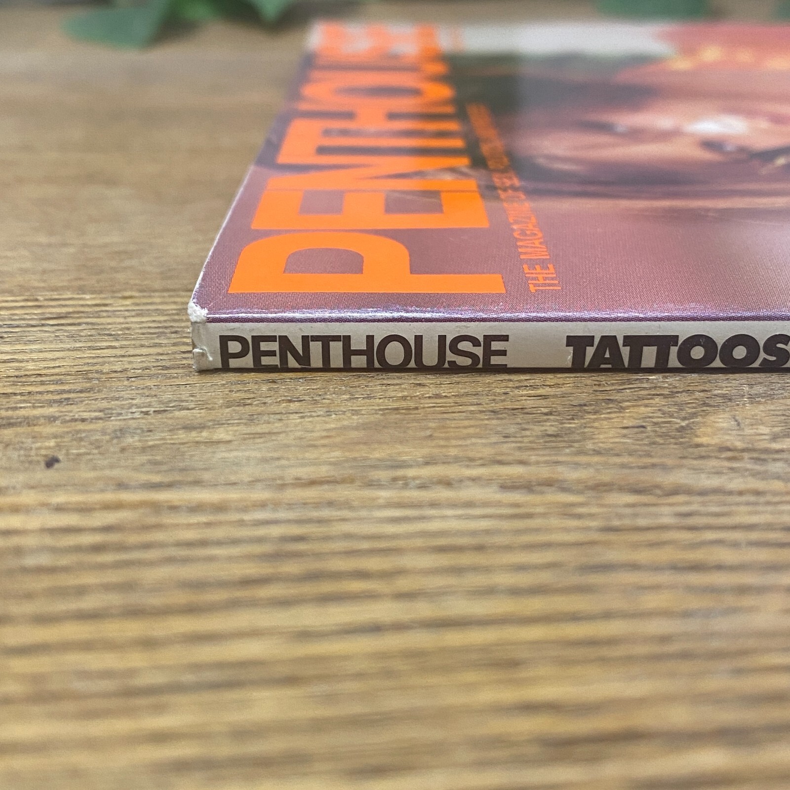 Penthouse Magazine February 1998 Nanna Gibson Cover Girl Centerfold Pet ...