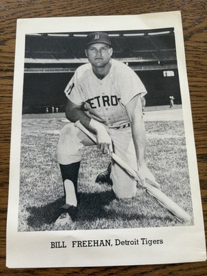 Bill Freehan Detroit Tigers Press Photo | eBay