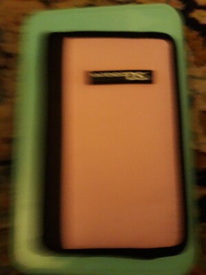 Nintendo DS pink case | eBay