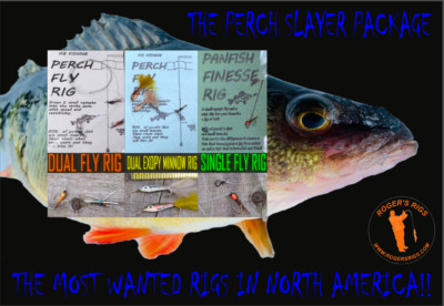 Perch Slayer Package (1 Perch Fly Rig + 1 Perch Min. Rig + 1 Panfish ...